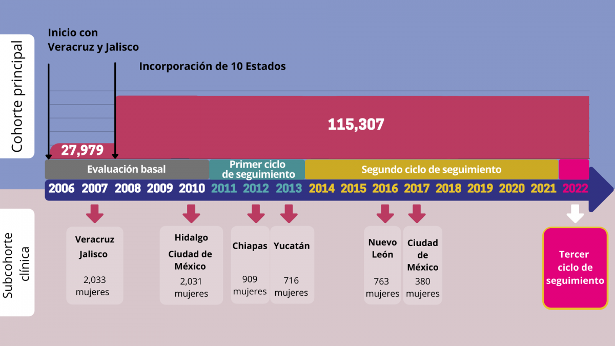 Disponibilidad de datos – ESMaestras